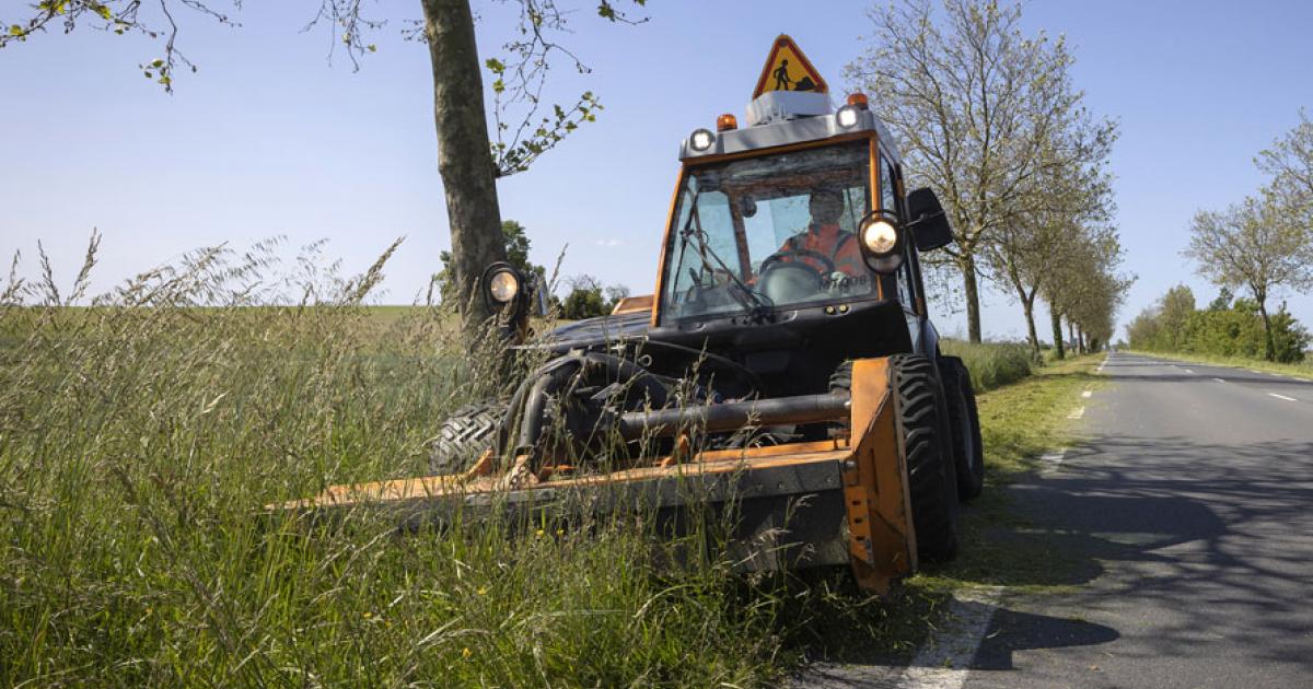Fauchage raisonné, nature protégée | La Charente-Maritime - 17